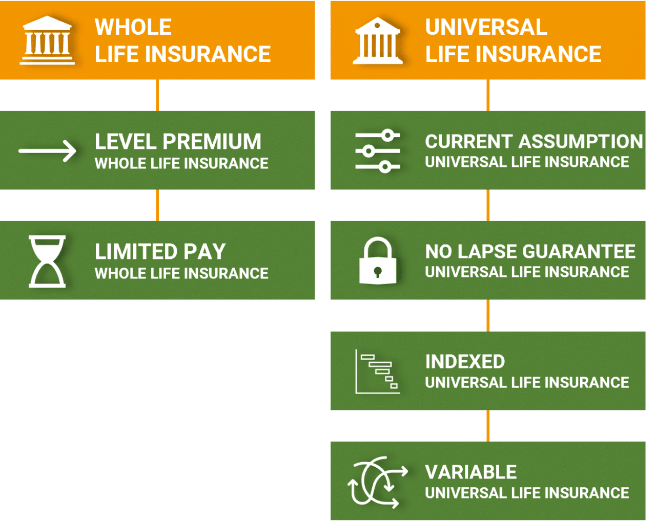 What Are The Different Types of Life Insurance Policies?
